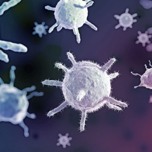 A tuberculose (TB) é uma das enfermidades mais antigas do mundo ...